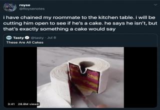35+ Hyperrealistic Cake Memes That Are Confusing Everyone on Twitter ...