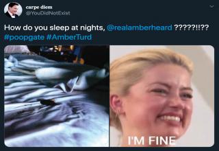 Amber Heard's Turd Photos Finally Released to the Public - Gross ...