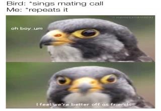 25 Funny Fresh Memes to Keep You up to Date - Funny Gallery | eBaum's World