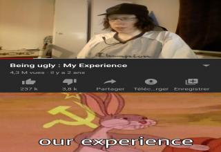 52 of The Dankest Dank Memes From Reddit - Funny Gallery | eBaum's World