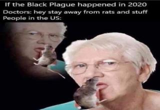 72 Funniest '2020 Memes' So Far - Funny Gallery | eBaum's World