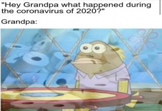 72 Funniest '2020 Memes' So Far - Funny Gallery | eBaum's World