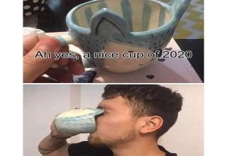 72 Funniest '2020 Memes' So Far - Funny Gallery | eBaum's World