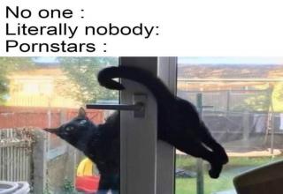 Dirty Memes for Corrupted Minds (36 Pics) - Funny Gallery | eBaum's World