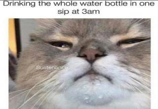 70 of the Funniest Dank Memes from Twitter and Instagram - Funny ...