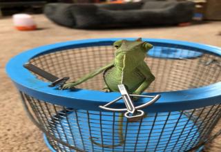 Enjoy a Bite-Sized Snack of 36 Quick Pics - Funny Gallery | eBaum's World