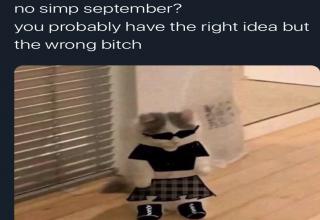 Here Are the 'No Simp September' Rules, Best Memes, and Reactions ...