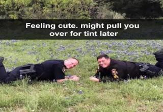 Feeling Cute Memes We Won't Delete Later (20 Images) | eBaum's World