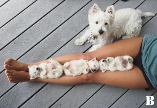 Enjoy a Batch of 62 Memes and Pics Just for You - Funny Gallery | eBaum ...