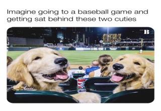 Enjoy a Batch of 62 Memes and Pics Just for You - Funny Gallery | eBaum ...