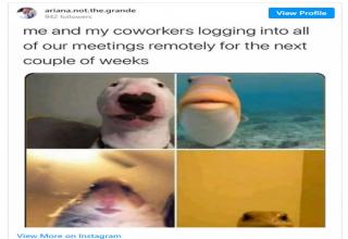 33 Funny Work Memes that are Working Overtime | eBaum's World