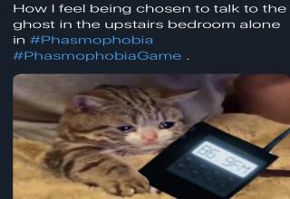 24 of the Funniest Phasmophobia Memes - Funny Gallery | eBaum's World