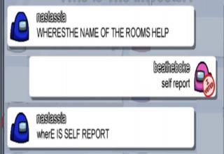 23 Funny Among Us Chat Memes For Imposters and Crewmates - Funny ...