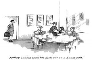 Jeffrey Toobin Suspended After Masturbating on Zoom Call - Funny ...