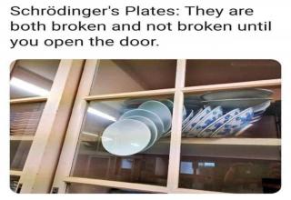 Dumb Jokes and Funny Memes to Turn Your Brain Off With - Funny Gallery ...