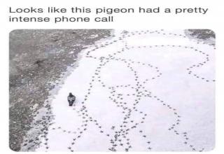 Dumb Jokes and Funny Memes to Tune Out With (35 Images) - Funny Gallery ...