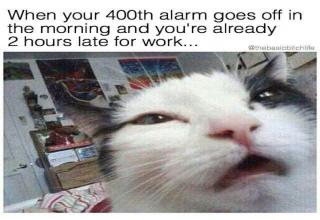 44 Sarcastic Work Memes That Joanna in HR Would Not Appreciate - Funny ...