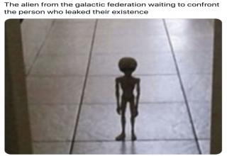 24 Memes to Await Earth's Acceptance into the Galactic Federation ...