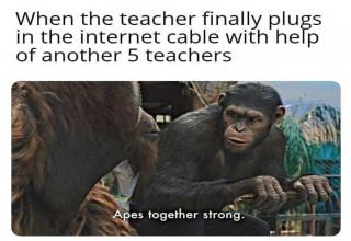 27 Memes About Teamwork That You Can't Lift On Your Own - Funny Gallery ...