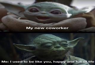 55 Happy Work Memes That Would Even Do This Job For Free - Funny ...