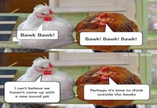 Dumb Jokes and Funny Memes to Tune Out With (27 Images) - Funny Gallery ...