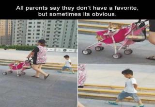 30 Comedic Moments People Came across in the Wild - Funny Gallery ...