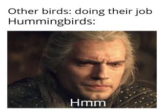 32 Glorious Memes with Which to Bless Your Timeline - Funny Gallery ...