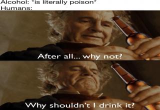 After All Why Not Memes to Enjoy Because After All, Why Not? - Funny ...