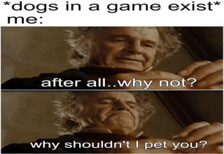 After All Why Not Memes to Enjoy Because After All, Why Not? - Funny ...