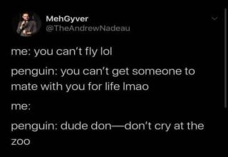 37 Dank Memes to Ponder in Your Free Time - Funny Gallery | eBaum's World