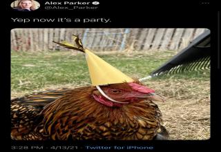 37 Dank Memes to Ponder in Your Free Time - Funny Gallery | eBaum's World
