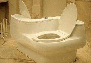 52 Terrifying Toilets That Threatened Our Well-Being - Eww Gallery ...