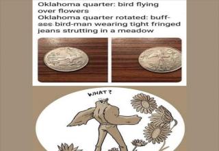 33 Funny Memes that Fell Off Twitter's Tractor Trailer - Funny Gallery ...