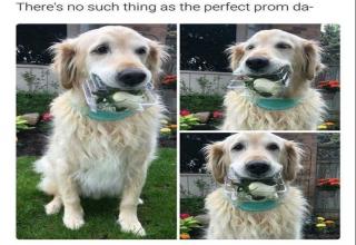 40 Dank Memes We Swiped From Walmart's Loading Docks - Funny Gallery ...