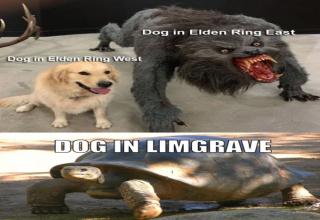 36 Funny Elden Ring Memes For the Maidenless - Funny Gallery | eBaum's ...