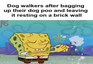 88 Darn Great Memes and Pics to Enjoy - Funny Gallery | eBaum's World