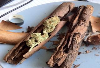 20 Busted Looking Joints to Induce Cringe - Funny Gallery | eBaum's World