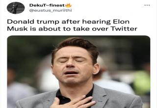 20 Twitter Memes for When You Get Bought by Elon Musk - Funny Gallery ...