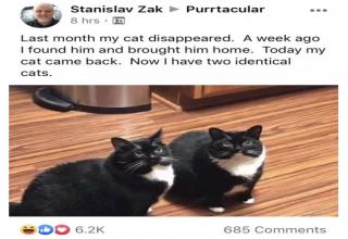 18 Oddly Terrifying Things People Found | eBaum's World