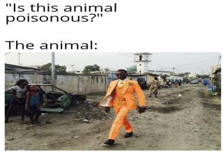 22 Memes Straight Off the Assembly Line - Funny Gallery | eBaum's World