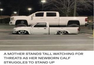 22 Memes Straight Off the Assembly Line - Funny Gallery | eBaum's World