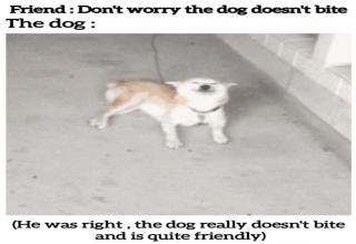 25 Memes With No Humor In Them - Funny Gallery | eBaum's World