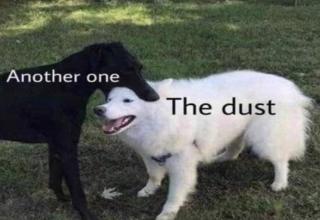 25 Memes With No Humor In Them - Funny Gallery | eBaum's World