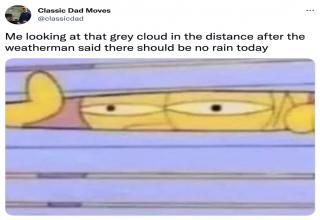 21 Classic Dad Moves In The Shape of Memes - Funny Gallery | eBaum's World