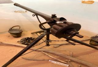 Fascinating Guns For Firearm Enthusiasts - Ftw Gallery | eBaum's World