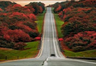 35 Awesome Pics for Your Daily Dose of Randoms - Funny Gallery | eBaum ...