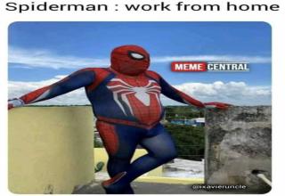 20 Spider-Man Gaming Memes to Complete Your Multiverse - Funny Gallery ...