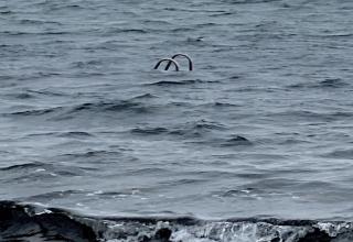 20 Fascinating and Frightening Pics of Bodies of Water - Creepy Gallery ...