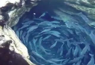 20 Fascinating and Frightening Pics of Bodies of Water - Creepy Gallery ...