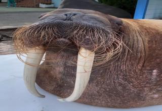 27 Posts That Could Only Come From the Wet Minds of r/LSD - Funny ...